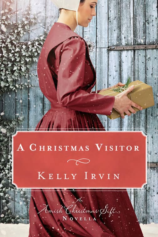 Kelly’s Book List - Kelly Irvin
